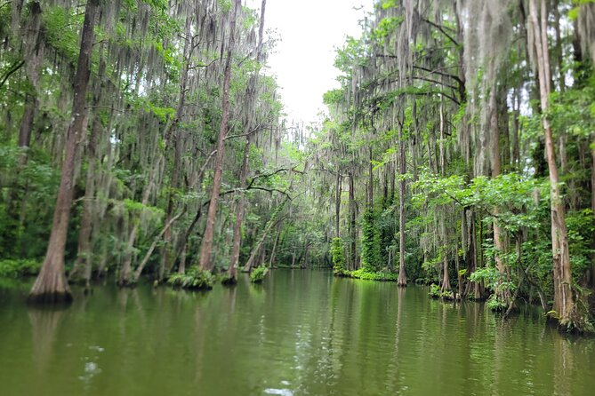 Dora Canal Half-Day Kayak and Paddle Board Rental Adventure - Key Points  