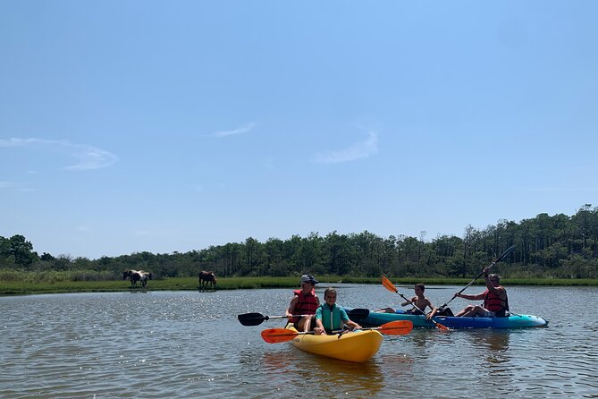 Double Sit on Top Kayak Rental at Assateague Island, MD - Key Points
