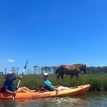 Double Sit on Top Kayak Rental at Assateague Island, MD - The Experience in Detail