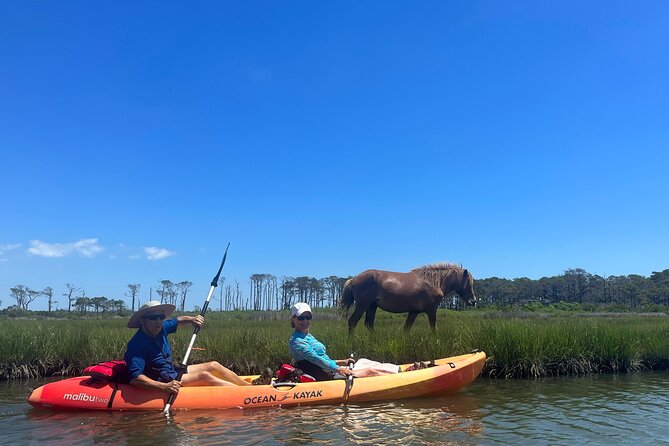 Double Sit on Top Kayak Rental at Assateague Island, MD - The Experience in Detail