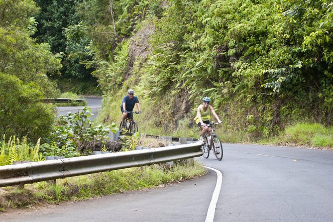 Downhill Bike and Ko'olau Waterfall Hike Tour - The Itinerary Breakdown