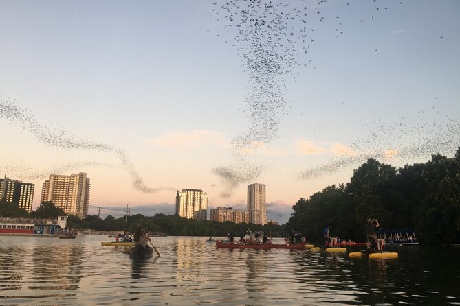 Downtown Austin Sunset Kayak Tour with 1.5 Million Bats - FAQs