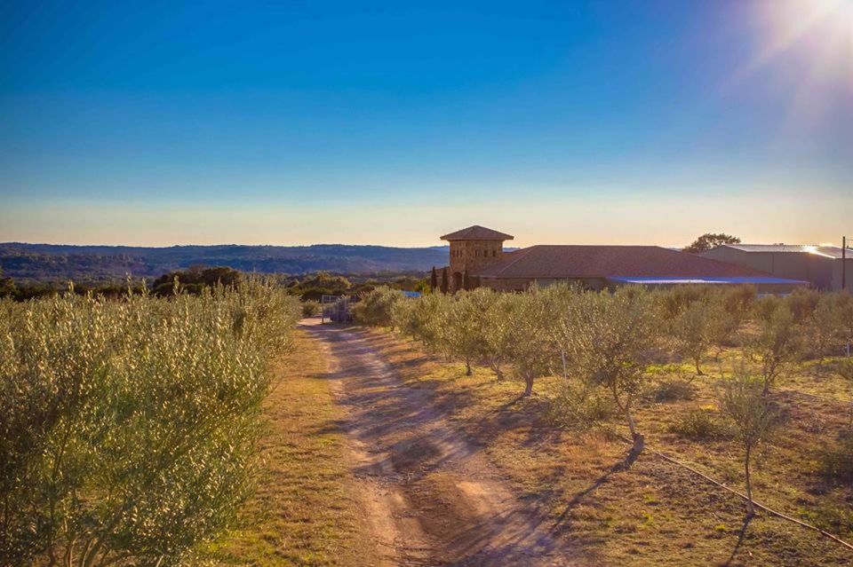 Dripping Springs: Olive Oil and Balsamic Vinegar Tasting - Practical Details
