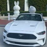 Drive a Mustang Convertible - FAQs