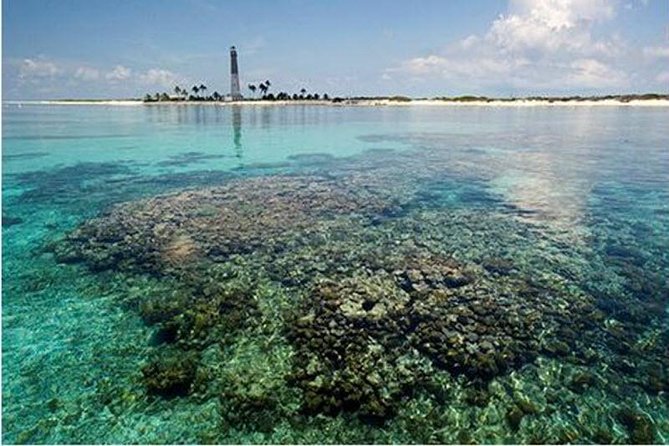 Dry Tortugas National Park Day Trip by Catamaran from Key West - The Sum Up