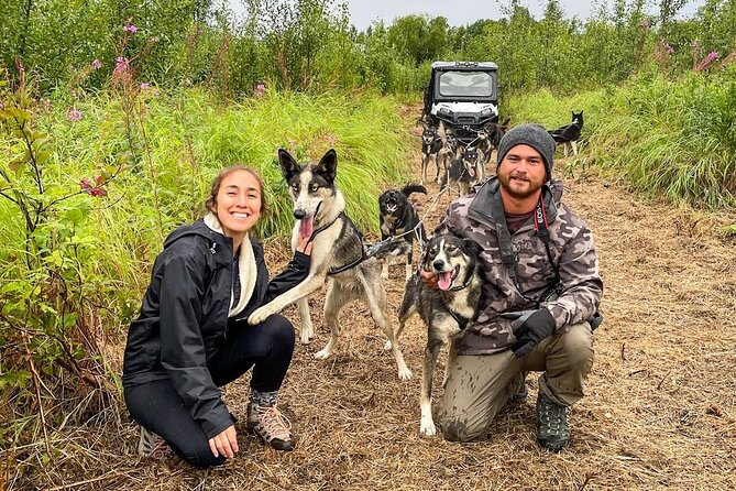 Dryland Dog Sled Tour - FAQs