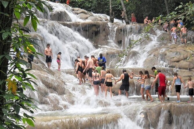 Dunn's River Falls and Horseback Riding Tour from Montego Bay - A Deep Dive into the Tour Experience