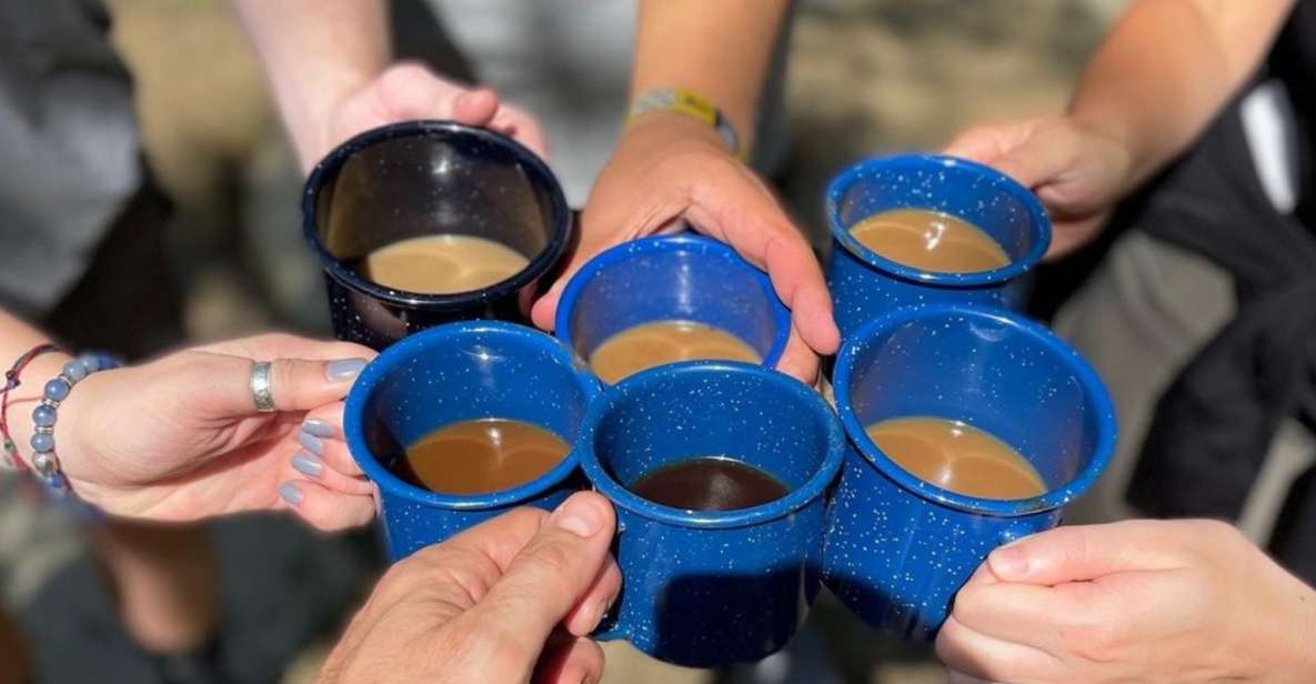 DuPont Forest: Private Coffee Hike® to Three Waterfalls - Analyzing the Value for the Price