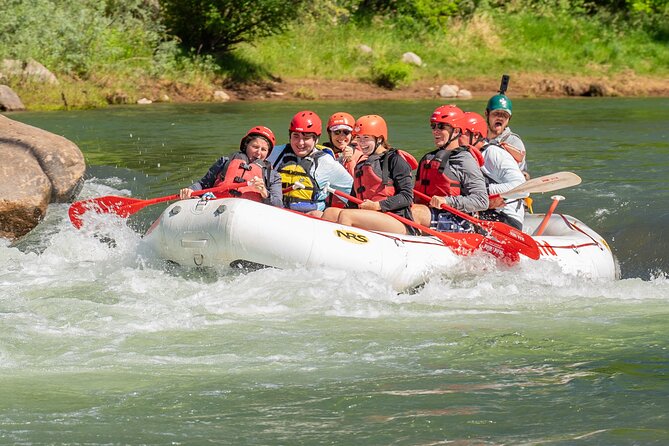 Durango 1/4 Day Rafting Trip - Lower Animas River - Who Will Love This Tour?