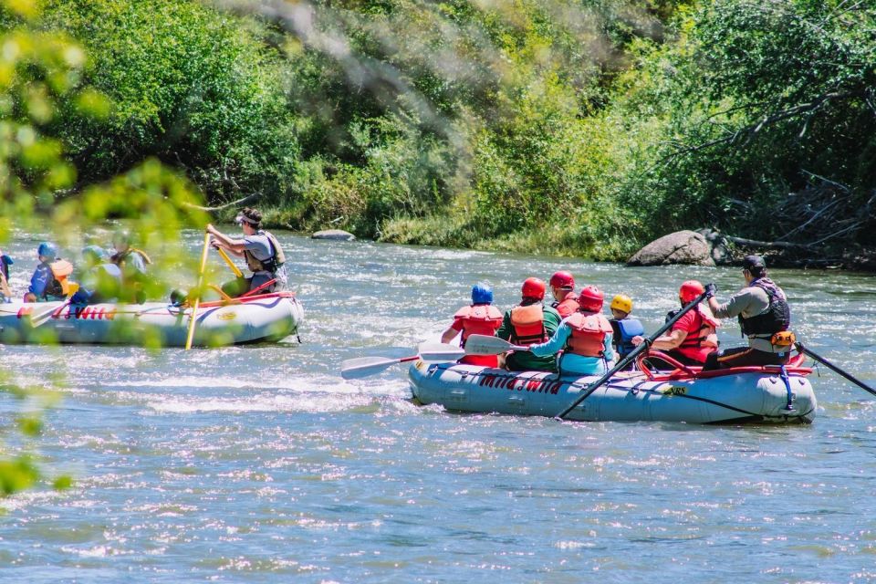 Durango 3/4 Day Rafting Trip with Lunch - Lower Animas River - An Overview of the Durango Rafting Experience