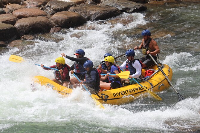 Durango "4.5 Half-Day" Rafting Trip Down the Animas River - What’s Included — and What You Should Know