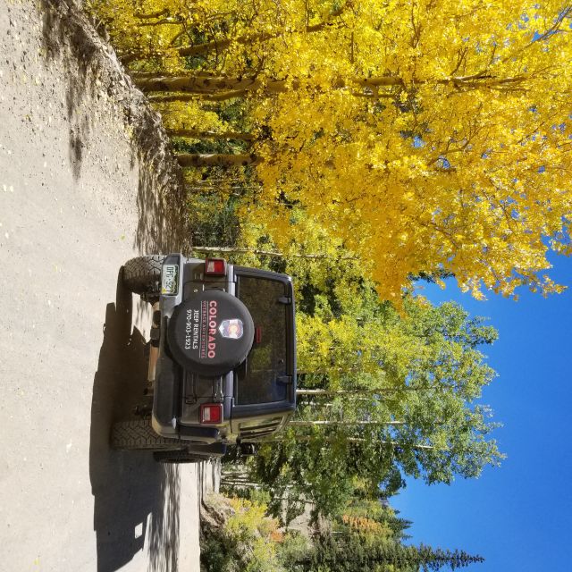 Durango: Backcountry Jeep Tour to the Top of Bolam Pass - Who Would Love This Tour?