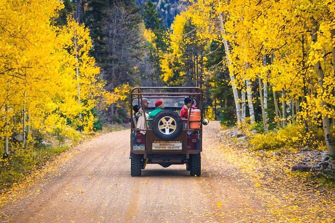 Durango Half Day Jeep Tour - La Plata Canyon - The Sum Up