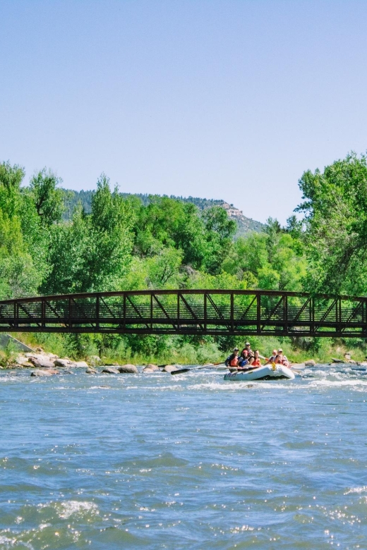 Durango Half Day Rafting Trip - Lower Animas River - Who Will Love This Tour?