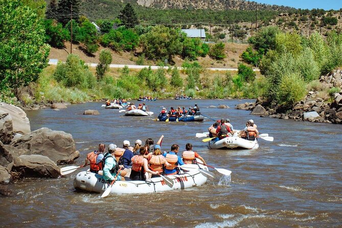 Durango Half Day Rafting Trip - Lower Animas River - What Travelers Say About This Trip