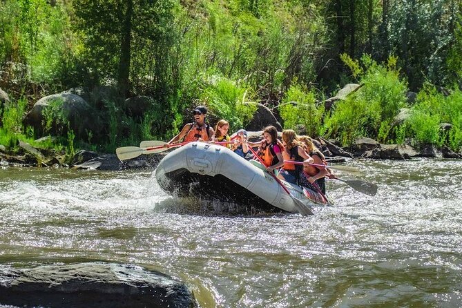 Durango Half Day Rafting Trip - Lower Animas River - Cancellation Policy and Practical Info