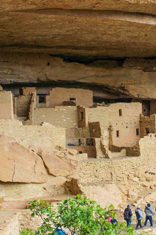 Durango: Mesa Verde National Park, Cliff Palace Tour w/Lunch - Price and Value Analysis