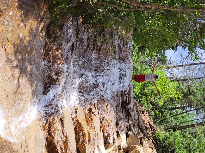 Durango: Waterfalls and Mountains La Plata Canyon Jeep Tour - The Sum Up