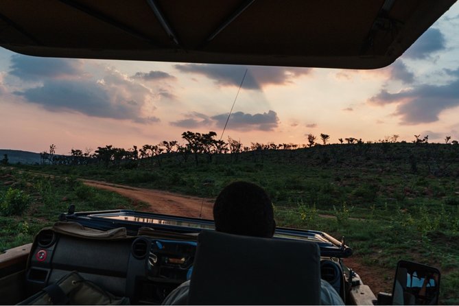 Durban: Big 5 Luxury Safari at an Award Winning Game Reserve  Zeiss Binoculars - Key Points