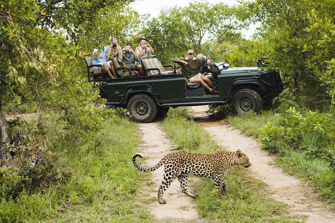 Durban: Big 5 Luxury Safari at an Award Winning Game Reserve  Zeiss Binoculars - Practical Tips for Your Safari