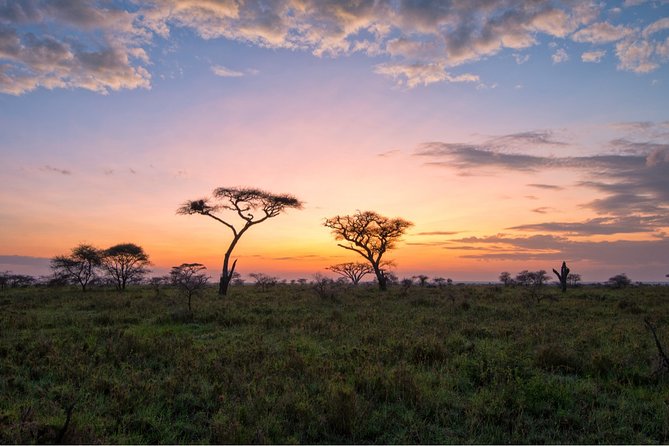 Durban: Big 5 Luxury Safari at an Award Winning Game Reserve  Zeiss Binoculars - Frequently Asked Questions