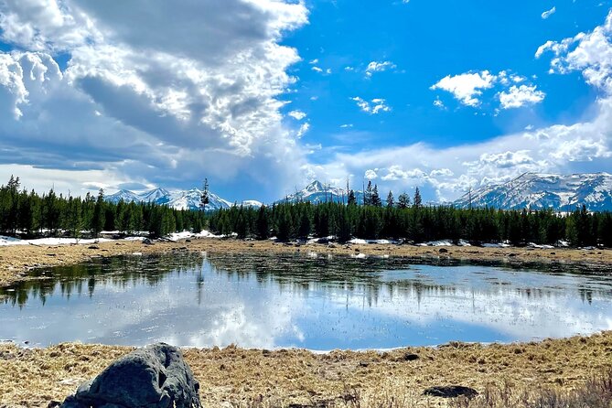 E-Bike Tours in Yellowstone National Park - Authentic Experiences from Past Travelers
