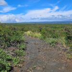 E-Mountain Bike Tour in South Point Hawaii - Why This Tour Stands Out