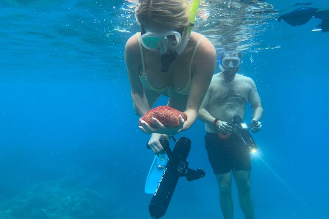 E-Scooter Snorkel With Photo and Video At Turtle Town - The Itinerary in Detail