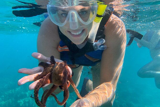 E-Scooter Snorkel With Photo and Video At Turtle Town - Why This Tour Offers Excellent Value