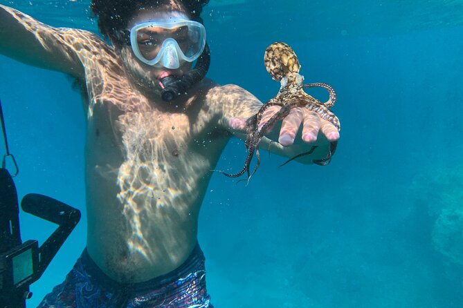 E-Scooter Snorkel With Photo and Video At Turtle Town - Practical Details and Tips