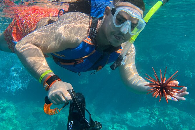 E-Scooter Snorkel With Photo and Video At Turtle Town - Reviews Highlight: Authentic Insights