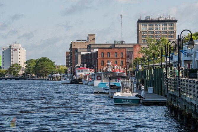 Eagles Island 50 minute Narrated Boat Cruise - Practical Tips for Your Trip