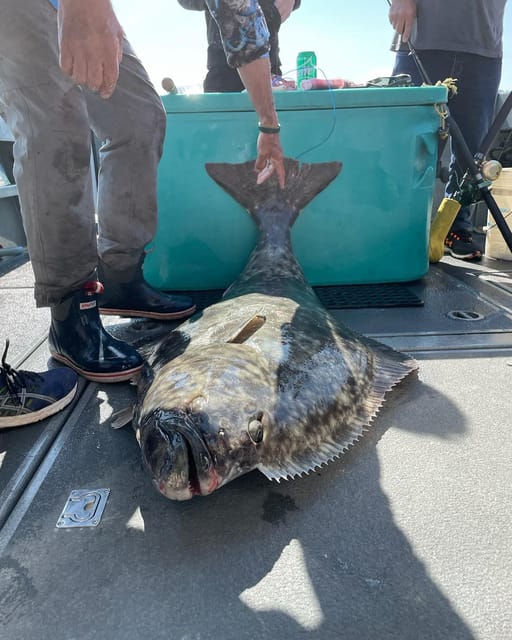 Ear Mountain Charters tours: whale watching and fishing - Key Points