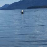 Ear Mountain Charters tours: whale watching and fishing - Practical Details & What to Know