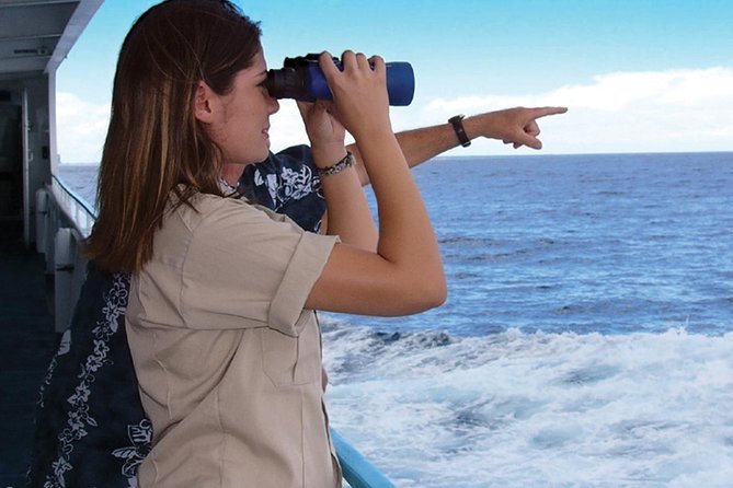 Early Bird Whale Watching Cruise from Waikiki - Key Points