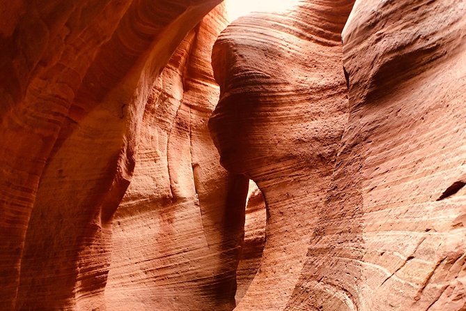 East Zion 2.5 Hour Slot Canyon Canyoneering UTV Tour - Who Is This Tour Best For?