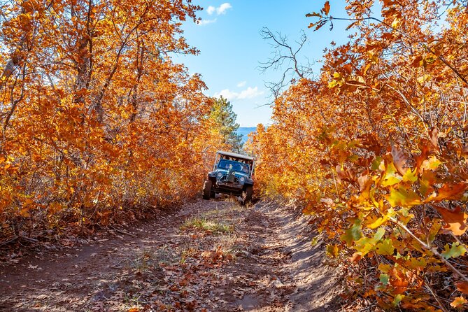 East Zion Brushy Cove Jeep Tour - What to Expect During the Itinerary