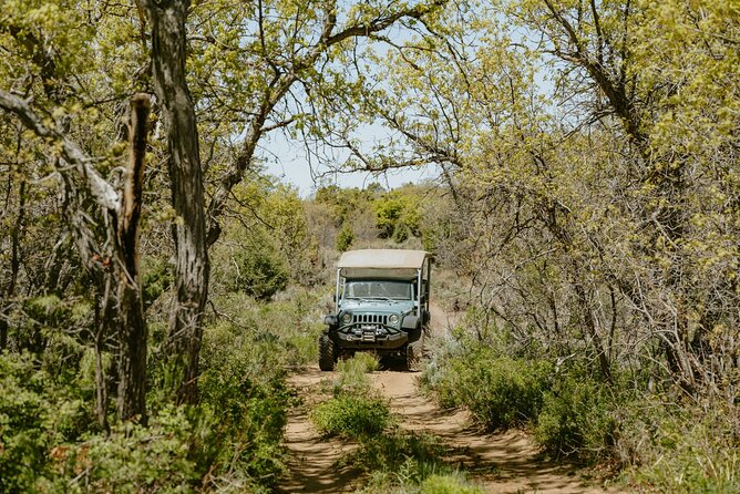 East Zion Brushy Cove Jeep Tour - The Intimate Group Dynamic