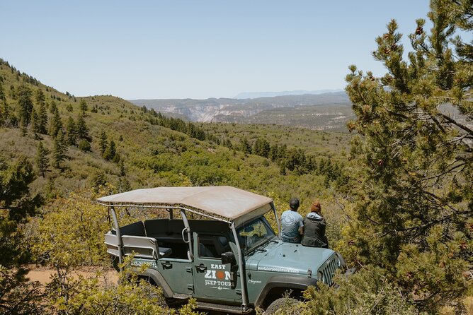 East Zion Brushy Cove Jeep Tour - Value for Money: Is It Worth the Price?