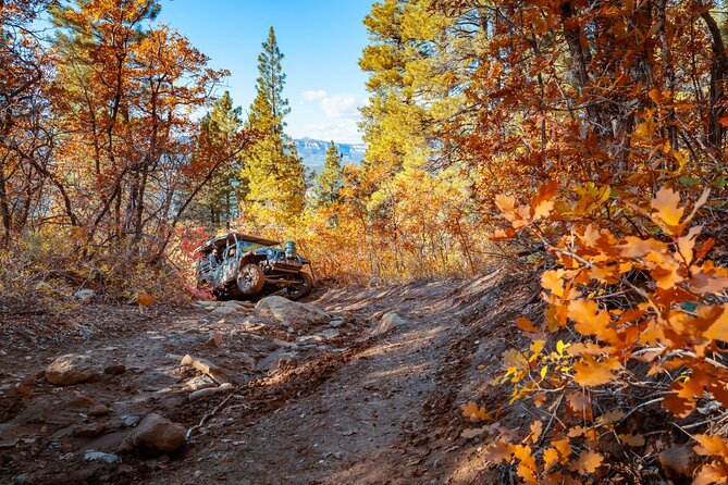 East Zion Brushy Cove Jeep Tour - Practical Tips for Your Jeep Tour