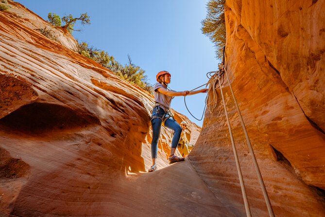 East Zion: Coral Sands Half-day Canyoneering Tour - The Real Deal - What the Reviews Say
