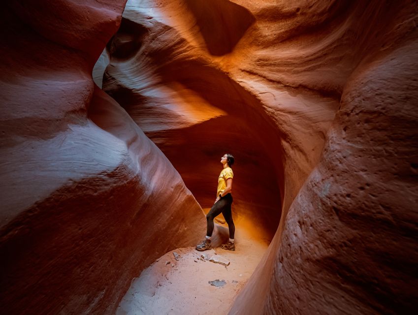East Zion: Crimson Slot Canyon Exploration and UTV Tour - Key Points