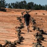 East Zion Outback UTV Tour with Licensed Guide - Who Will Enjoy This Tour?