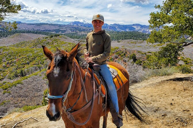 East Zion Pine Knoll Horseback Ride - The Sum Up