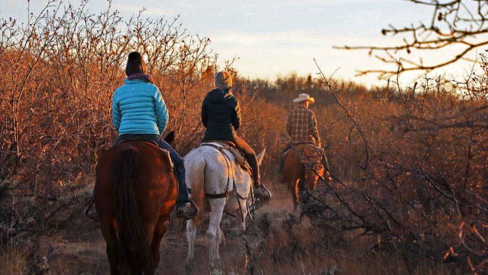 East Zion: Pine Knoll Horseback Tour - Exploring the Itinerary and Experience