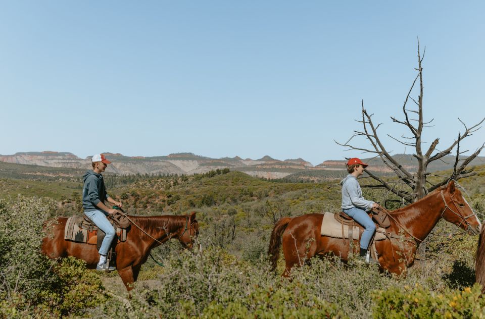 East Zion: Pine Knoll Horseback Tour - The Real Value of the Pine Knoll Horseback Tour
