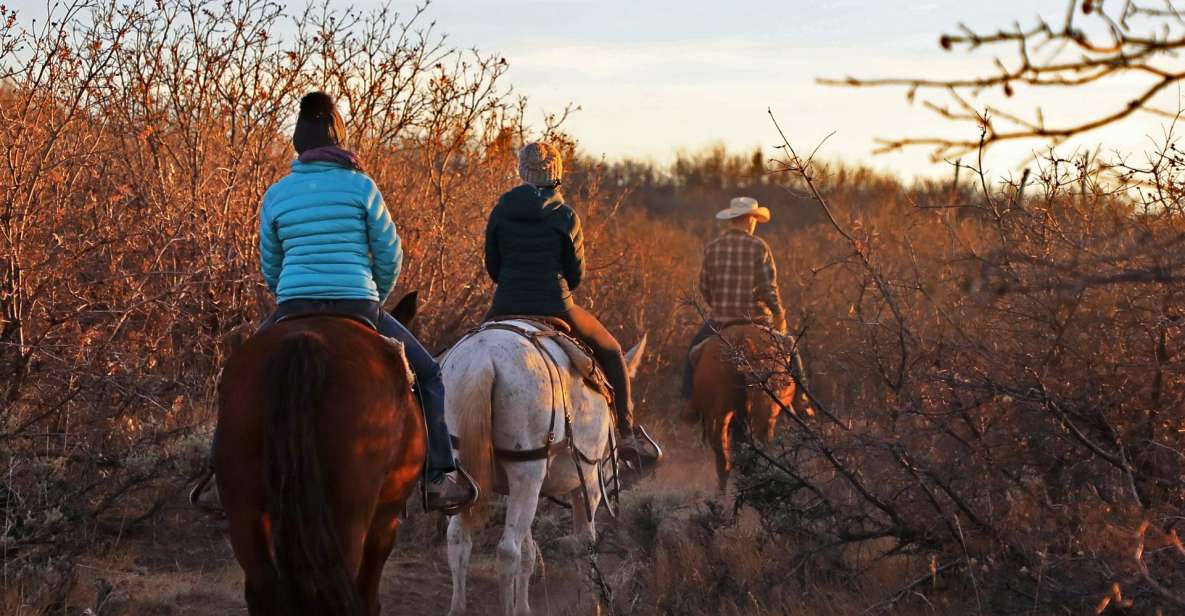 East Zion: Pine Knoll Horseback Tour - Who Will Love This Tour?
