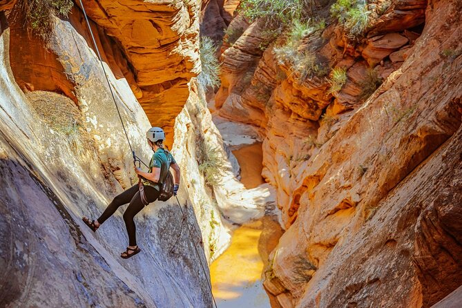 East Zion: Powell's Way Full-Day Canyoneering - Exploring Zions Hidden Corners: What You Can Expect