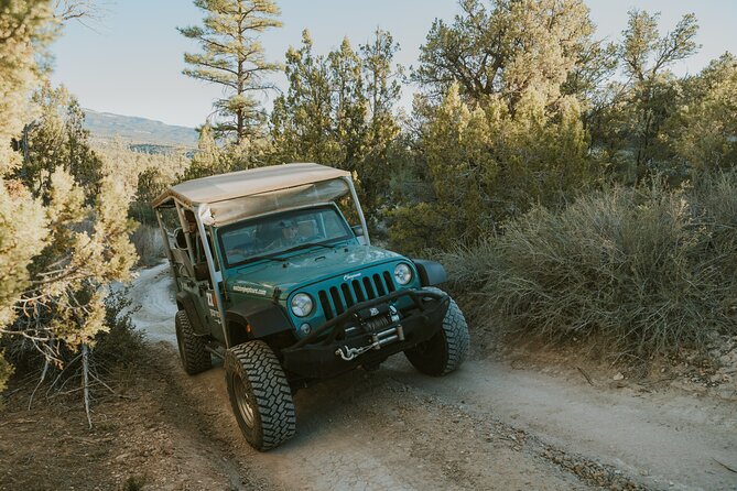 East Zion Top of the World Jeep Tour - Who Should Book This Tour?