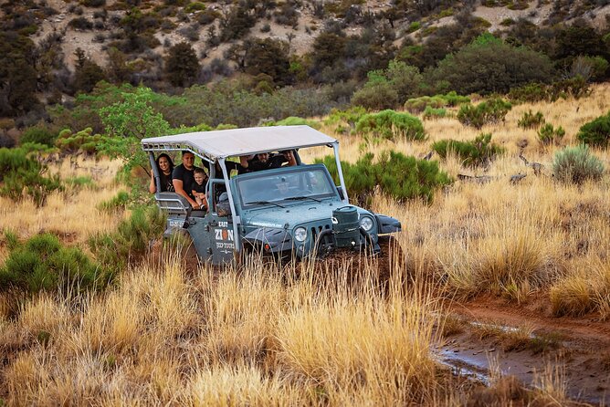 East Zion: Zion Cliffs Sunset Jeep Tour - Who Will Love This Experience?